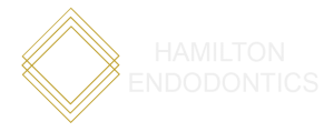 Contact Us - Hamilton Endodontics